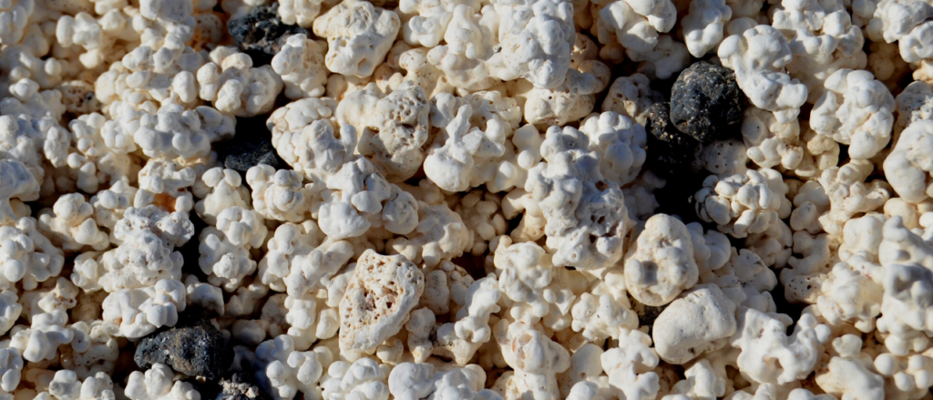 Popcorn Beach: Ein besonderer Strand - ltur Reiseblog